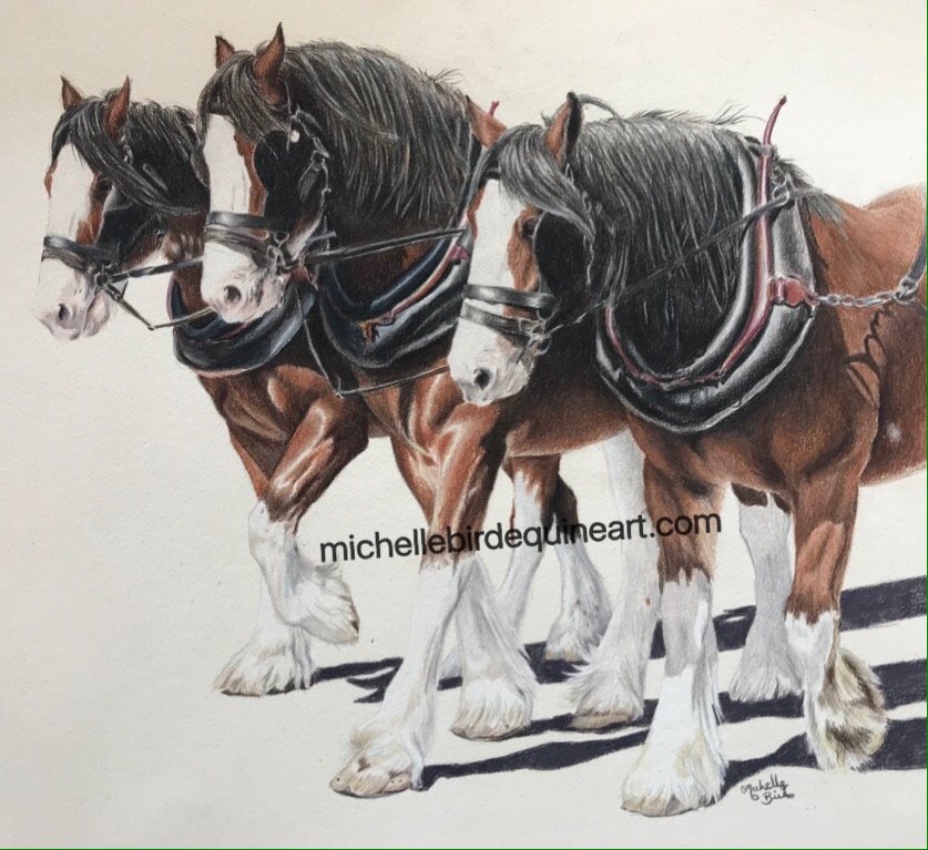 Gallery | Michelle Bird